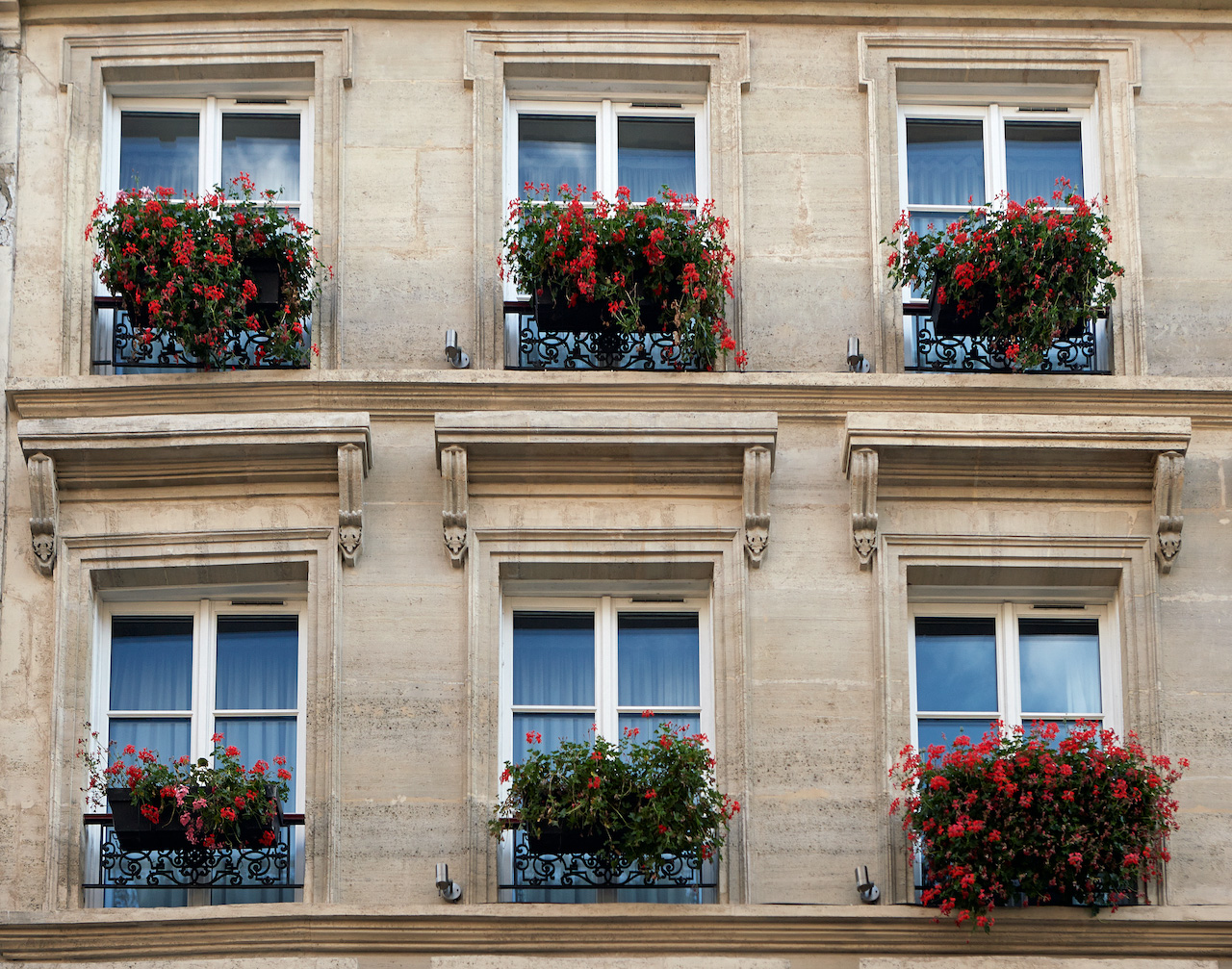 Joanne - Lung Cancer Research Foundation